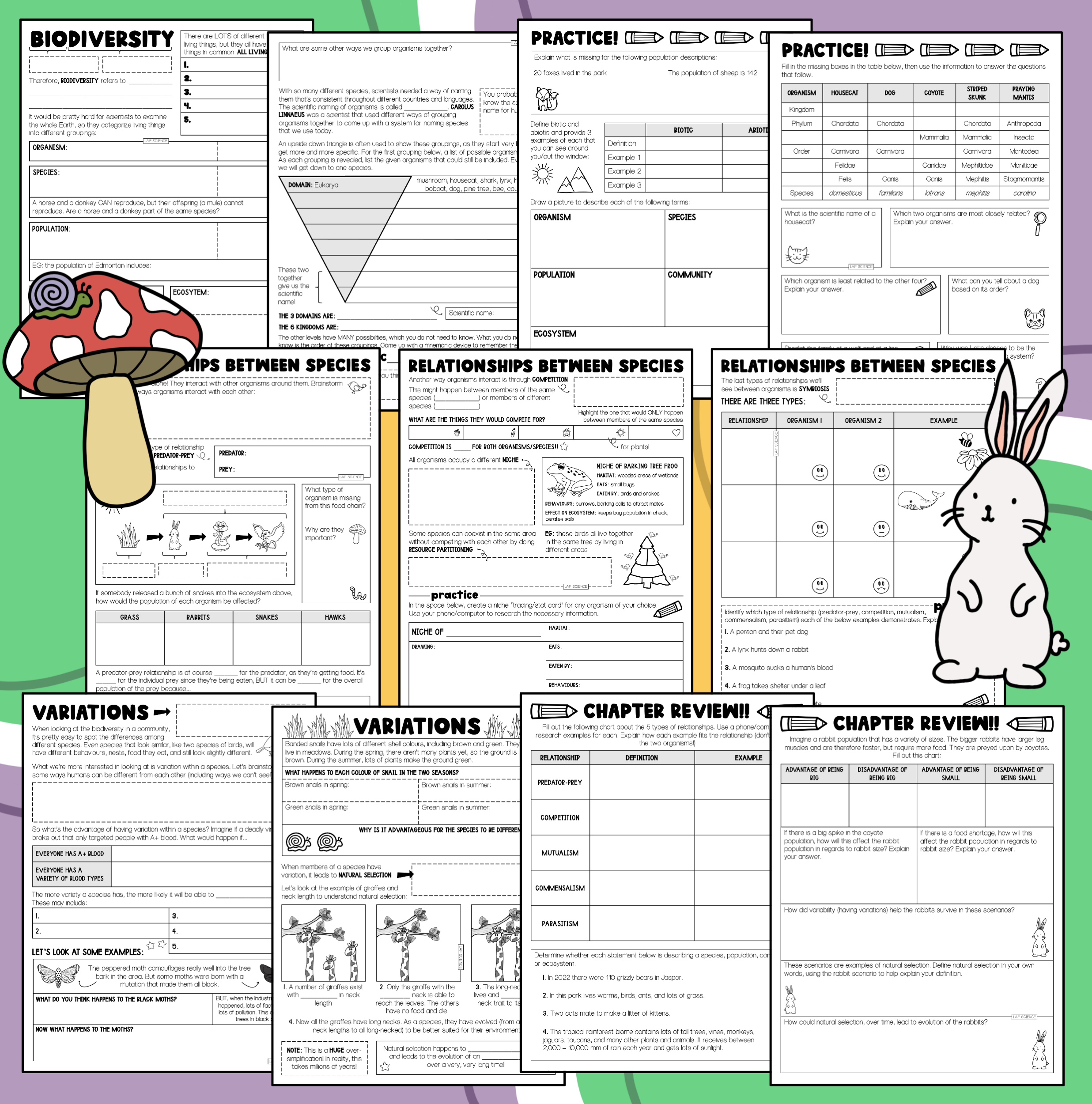 Ecology & Biodiversity Chapter Notes and Practice | Made By Teachers