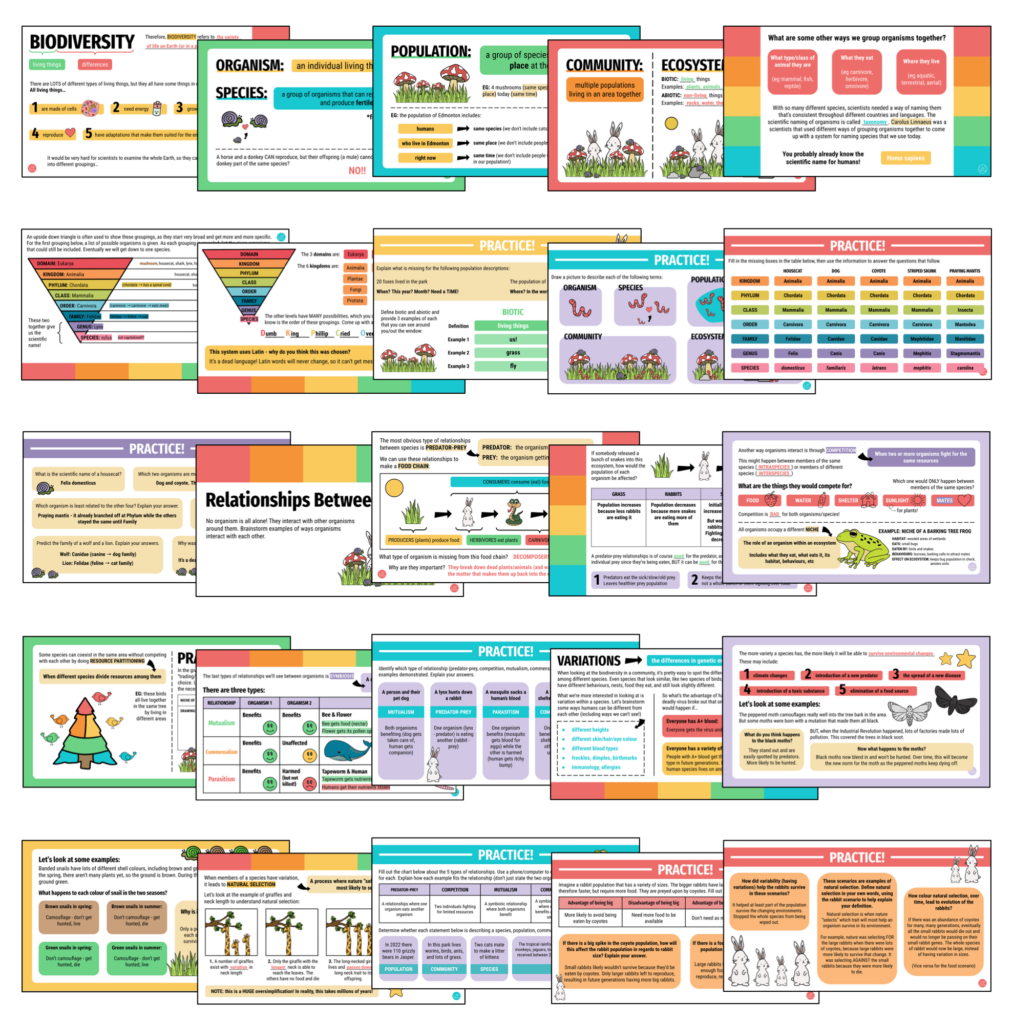 Ecology & Biodiversity Chapter Notes and Practice | Made By Teachers