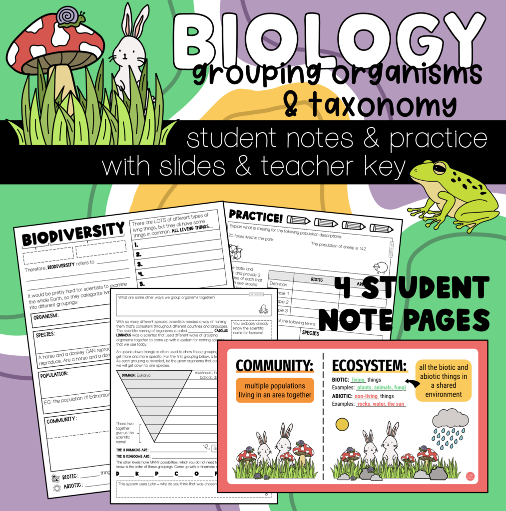 Grouping Organisms & Taxonomy Notes and Practice | Made By Teachers