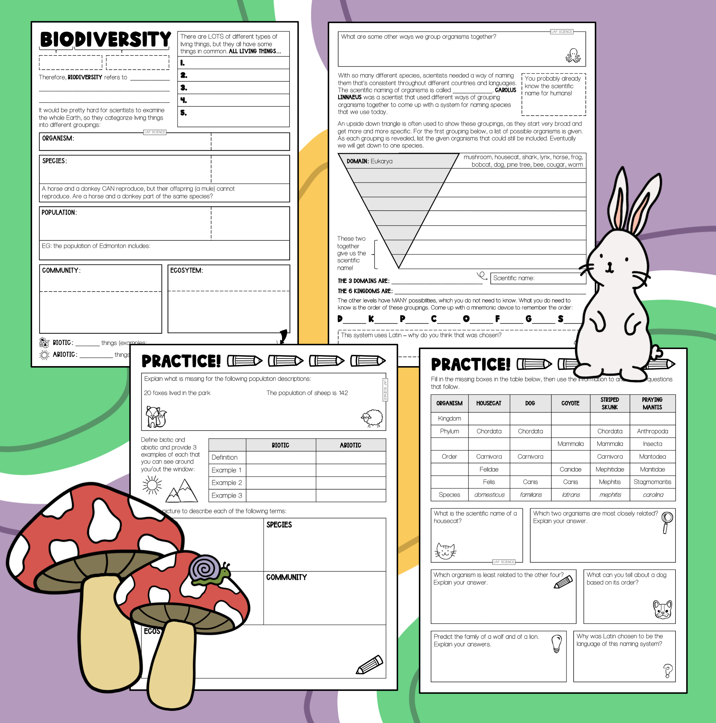 Grouping Organisms & Taxonomy Notes and Practice | Made By Teachers