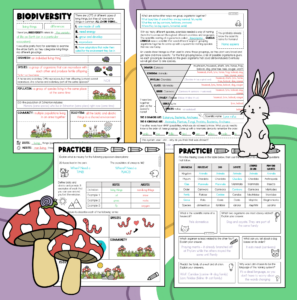 Grouping Organisms & Taxonomy Notes and Practice | Made By Teachers