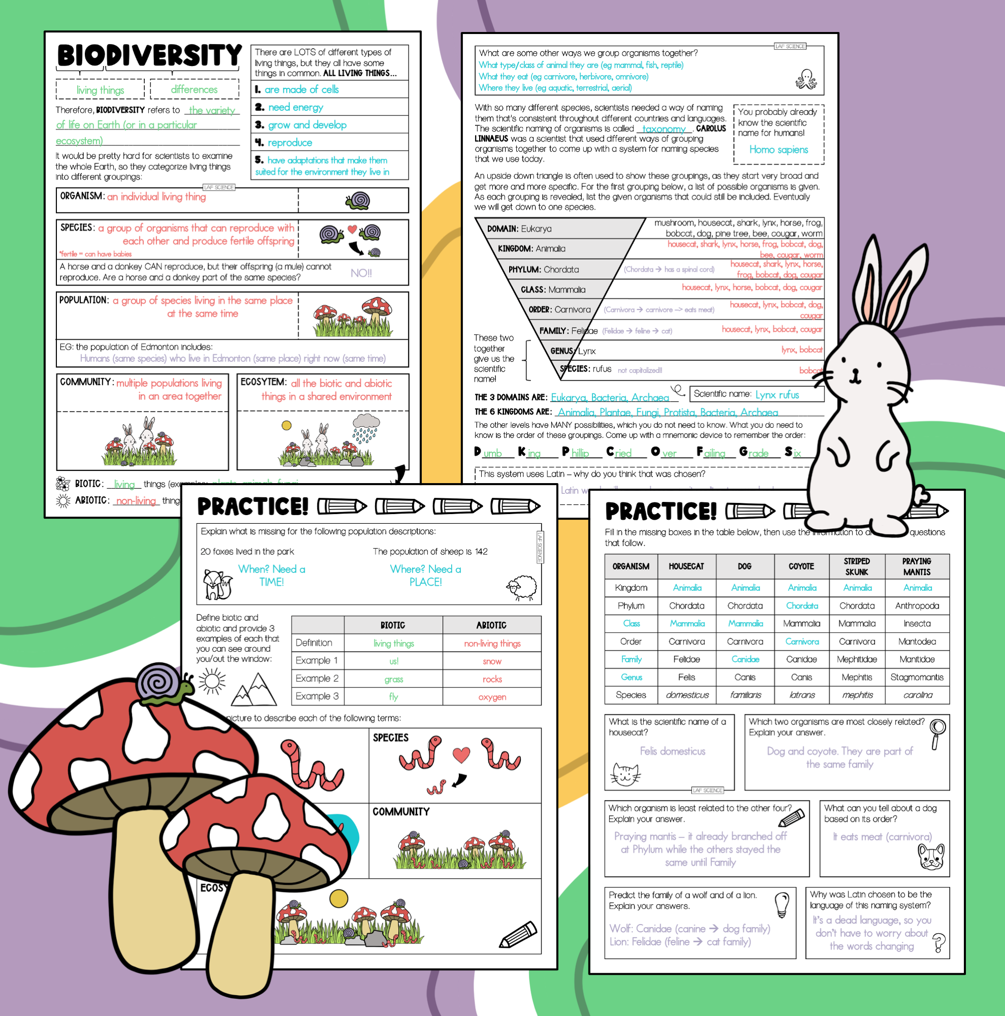 Grouping Organisms & Taxonomy Notes and Practice | Made By Teachers