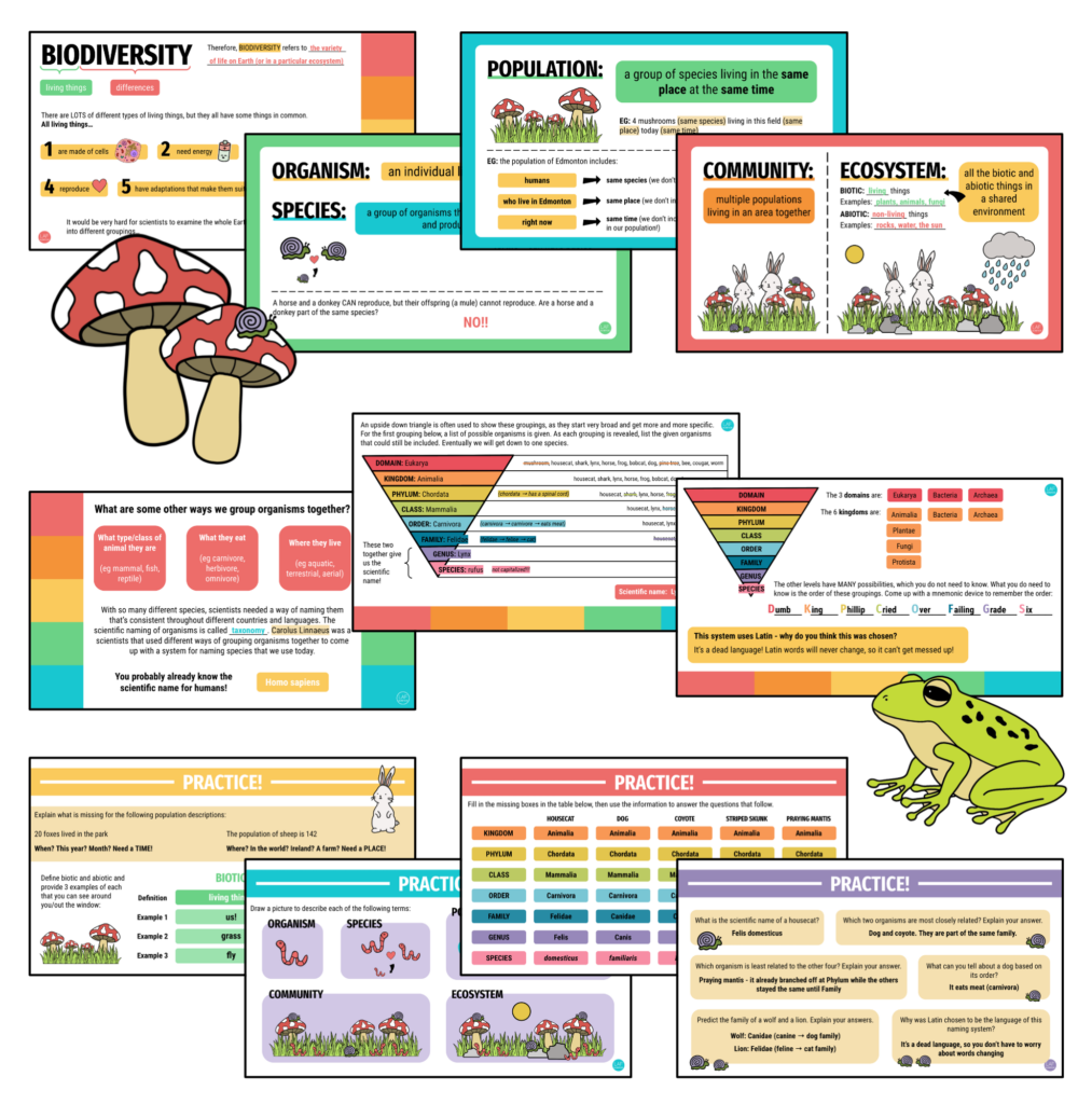 Grouping Organisms & Taxonomy Notes and Practice | Made By Teachers