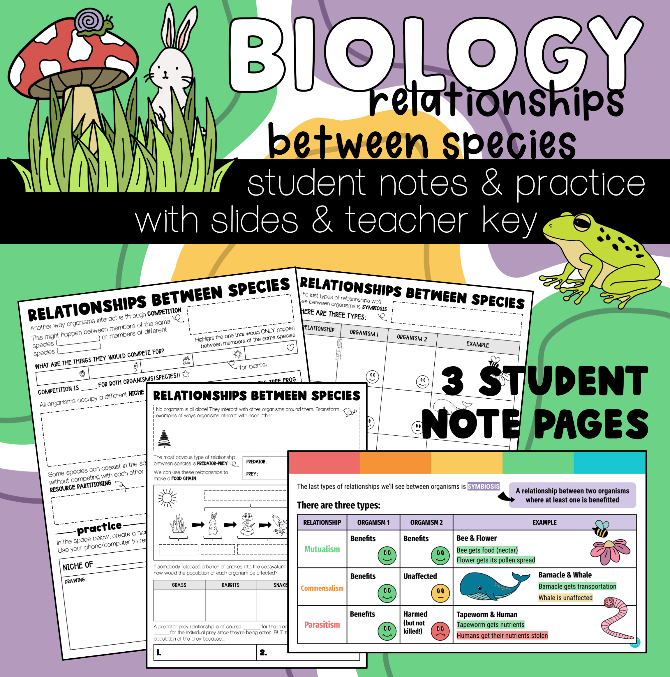 Relationships Between Species Notes & Practice | Made By Teachers