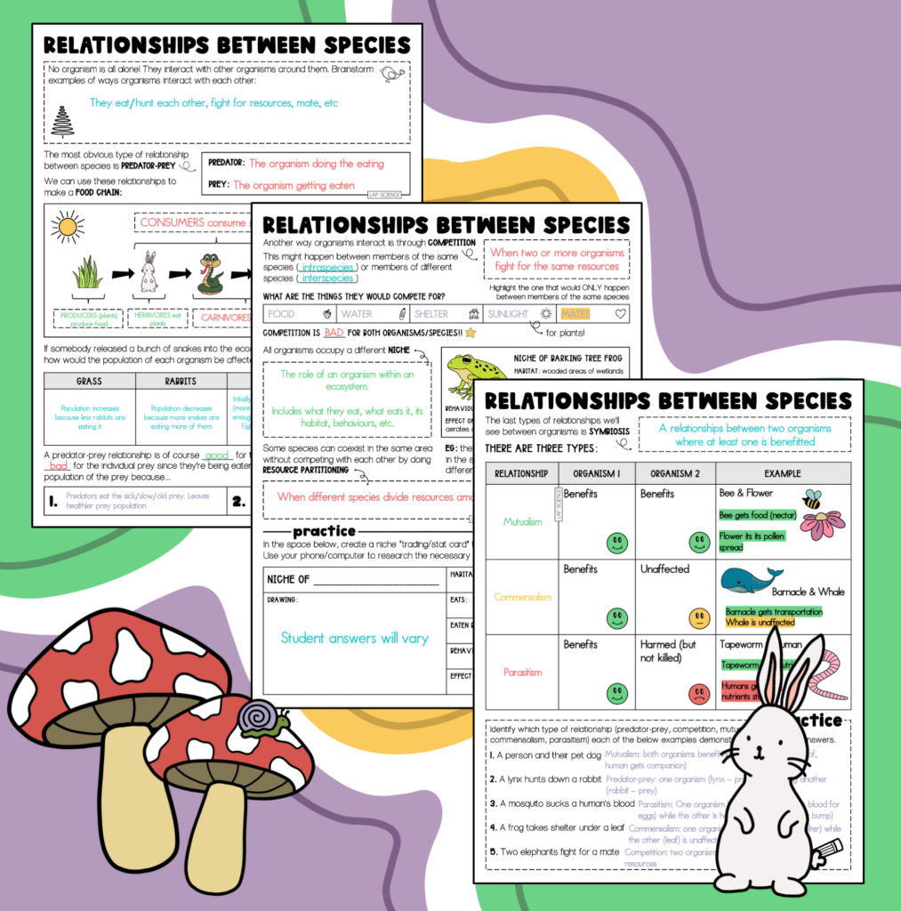 Relationships Between Species Notes & Practice | Made By Teachers