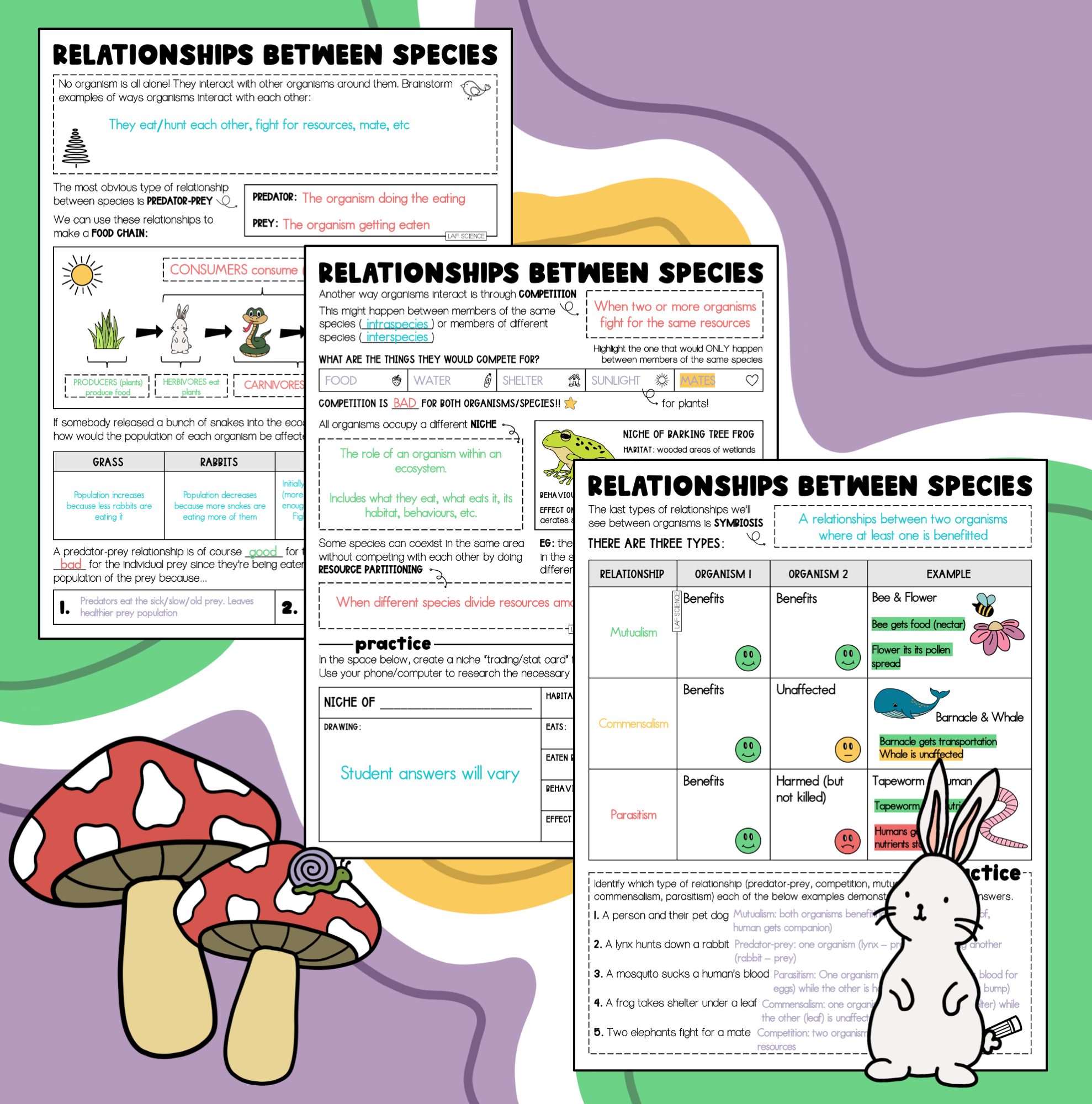 Relationships Between Species Notes & Practice | Made By Teachers