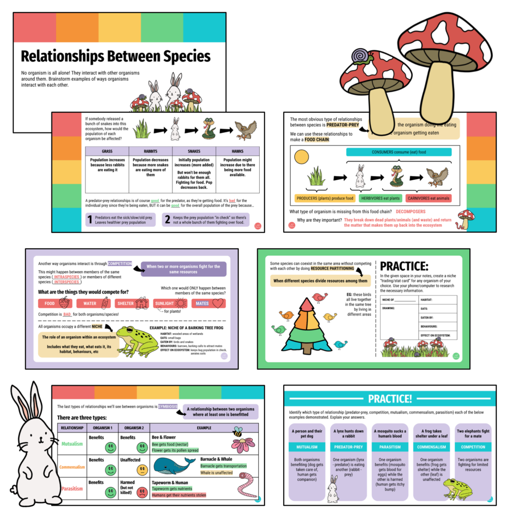 Relationships Between Species Notes & Practice | Made By Teachers