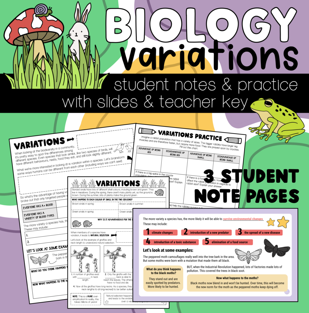 Variations and Natural Selection Notes & Practice | Made By Teachers