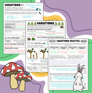 Variations and Natural Selection Notes & Practice | Made By Teachers