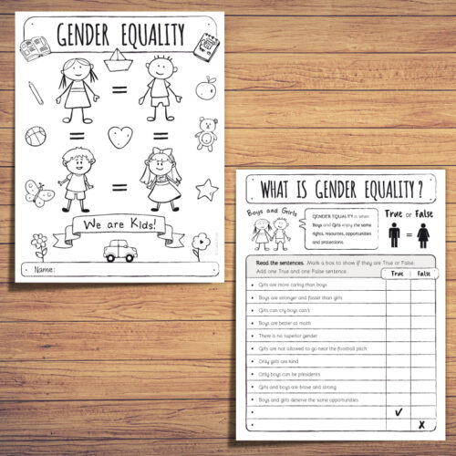Gender Equality Activity | Made By Teachers