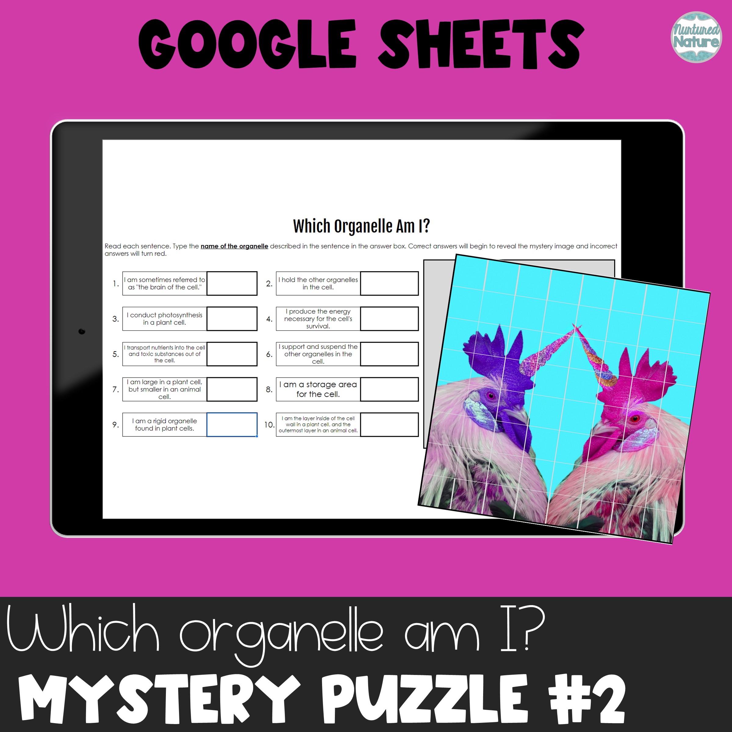 Organelles in Cells Pixel Art Puzzle 2 Google Activity | Made By Teachers