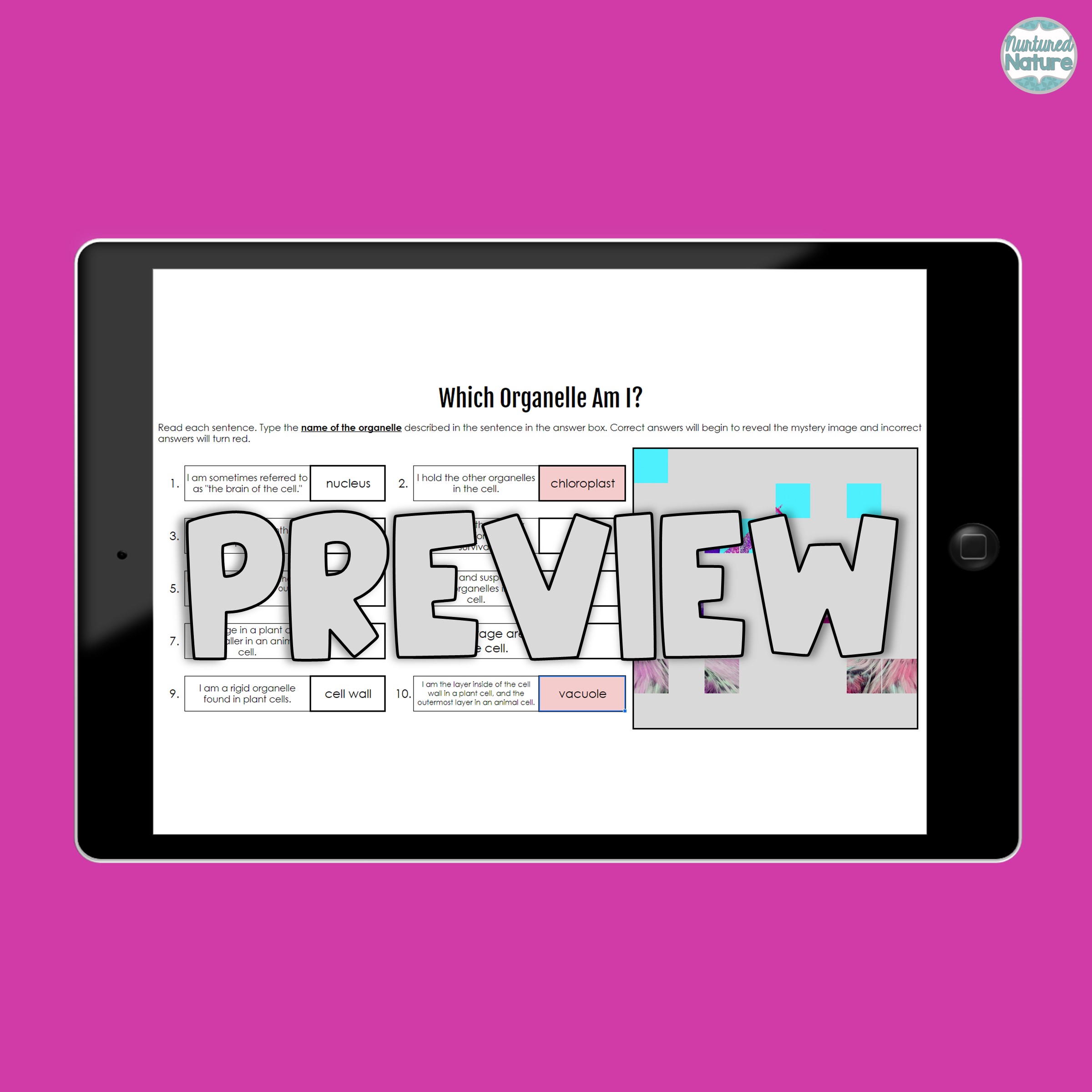 Organelles in Cells Pixel Art Puzzle 2 Google Activity | Made By Teachers