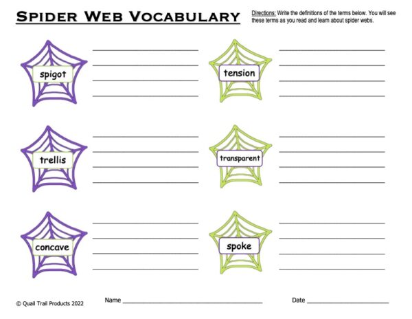 Spider Web Thematic Unit - Worksheets and Activities | Made By Teachers