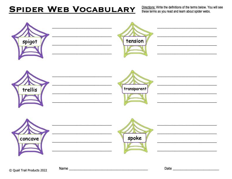Spider Web Thematic Unit - Worksheets and Activities | Made By Teachers