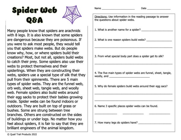 Spider Web Thematic Unit - Worksheets and Activities | Made By Teachers