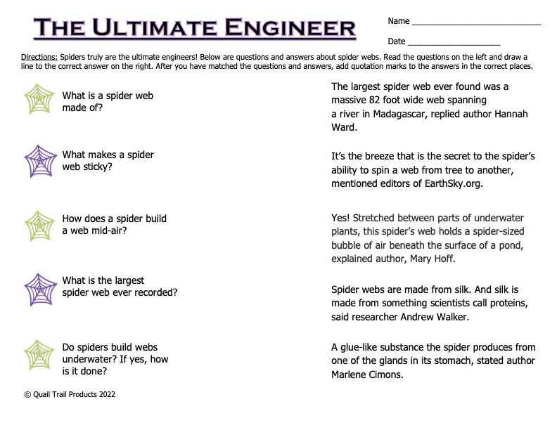 Spider Web Thematic Unit - Worksheets and Activities | Made By Teachers