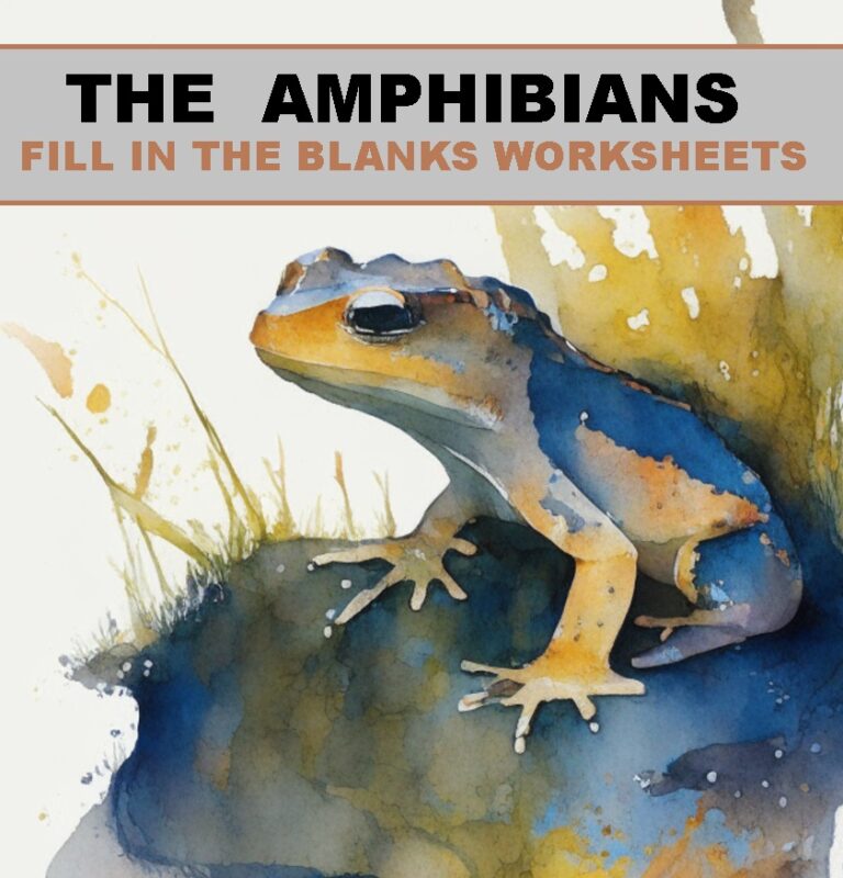 THE AMPHIBIANS - FILL IN THE BLANKS WORKSHEETS | Made By Teachers