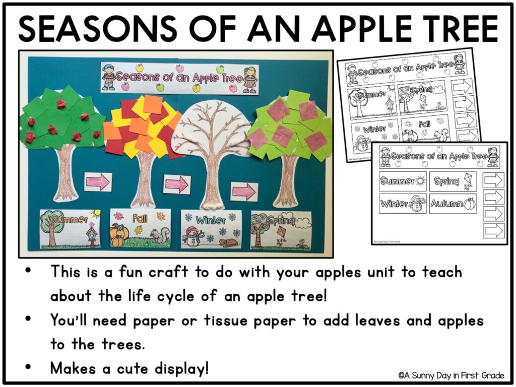 Seasons of an Apple Tree Craft | Made By Teachers