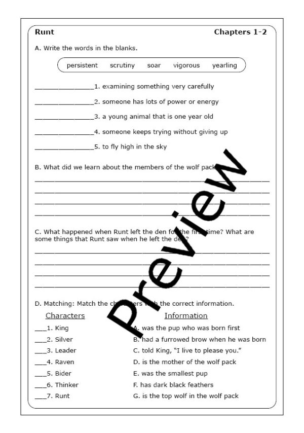 Marion Dane Bauer "Runt" worksheets | Made By Teachers