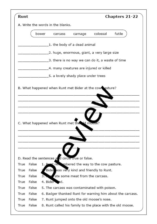 Marion Dane Bauer "Runt" worksheets | Made By Teachers