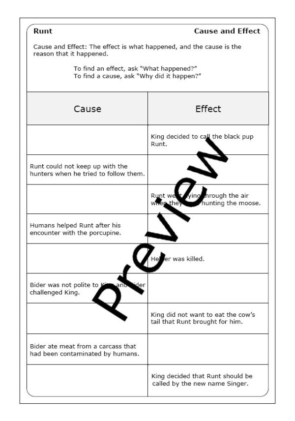 Marion Dane Bauer "Runt" worksheets | Made By Teachers