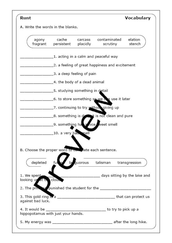 Marion Dane Bauer "Runt" worksheets | Made By Teachers