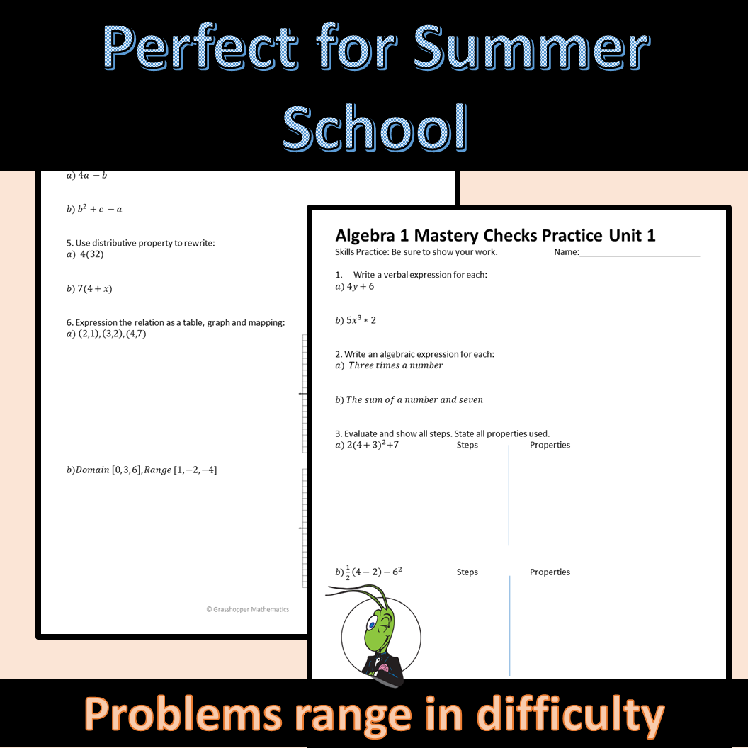 Algebra 1 Mastery Checks | Summer School | Competency Based | Made By ...