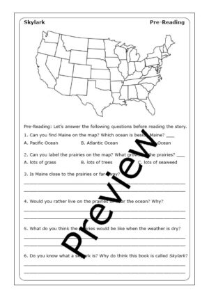 Patricia MacLachlan "Skylark" worksheets | Made By Teachers