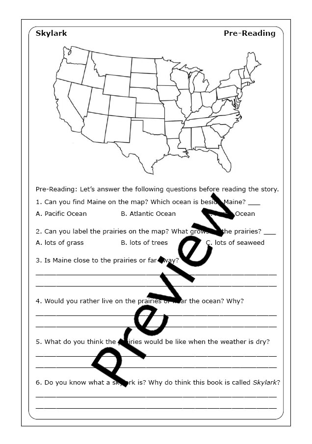 Patricia MacLachlan "Skylark" worksheets | Made By Teachers