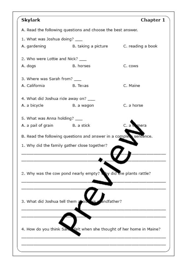 Patricia MacLachlan "Skylark" worksheets | Made By Teachers