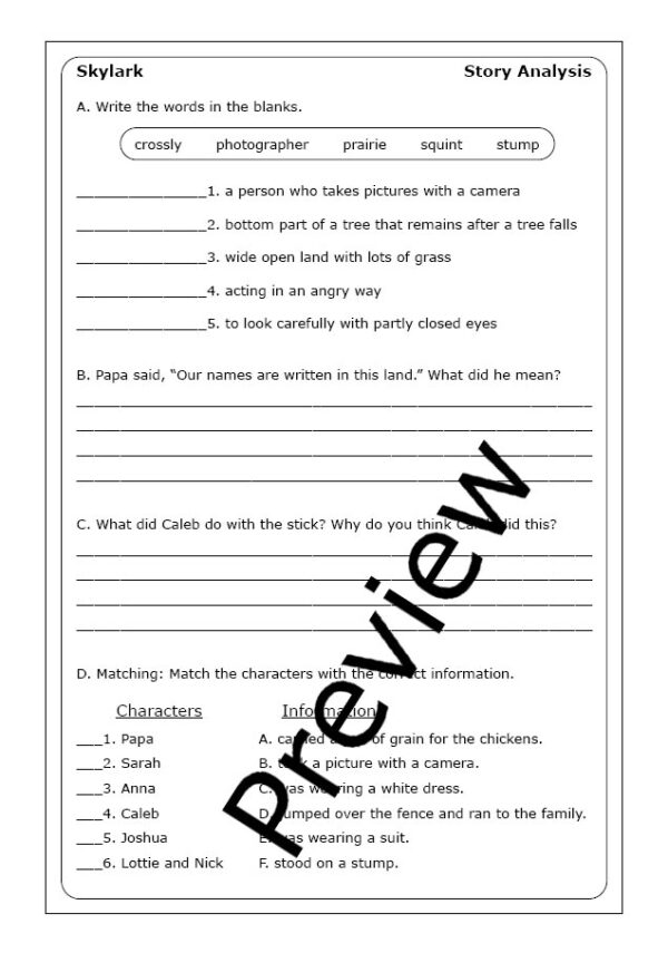 Patricia MacLachlan "Skylark" worksheets | Made By Teachers