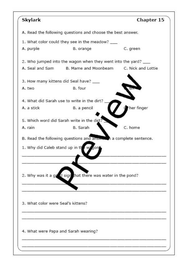 Patricia MacLachlan "Skylark" worksheets | Made By Teachers