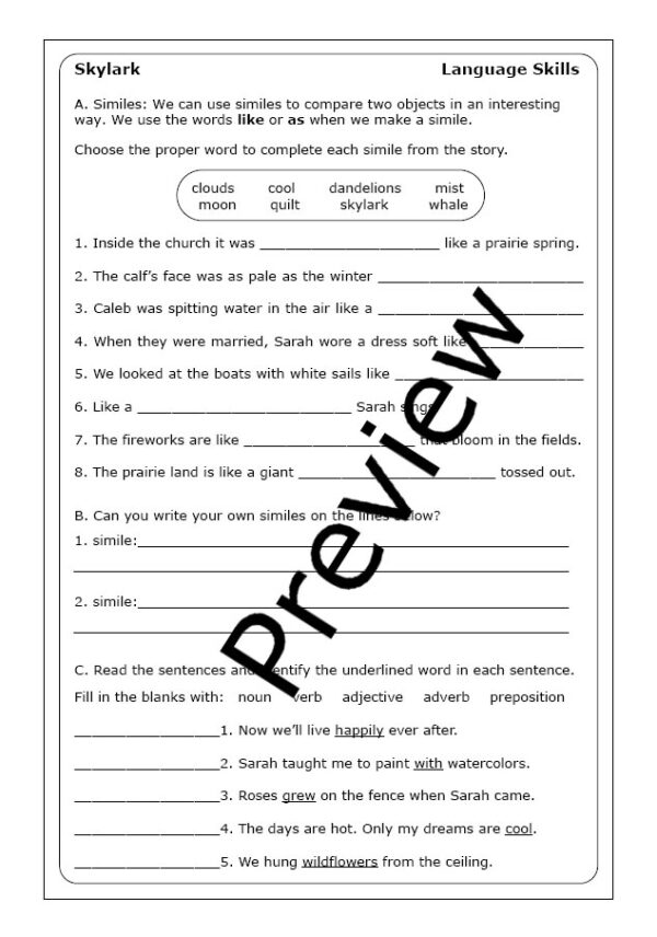 Patricia MacLachlan "Skylark" worksheets | Made By Teachers