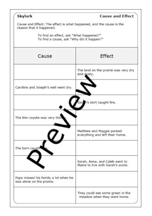 Patricia MacLachlan "Skylark" worksheets | Made By Teachers