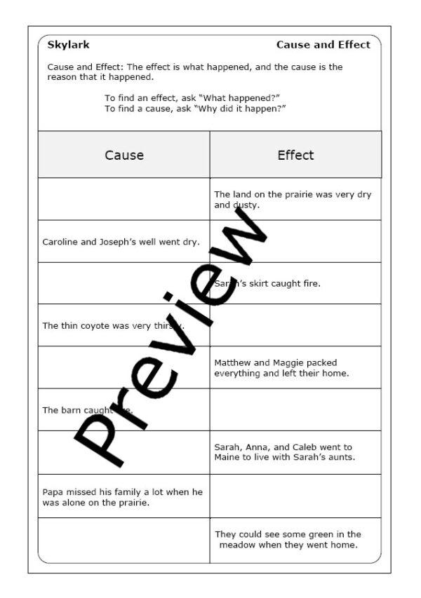 Patricia MacLachlan "Skylark" worksheets | Made By Teachers
