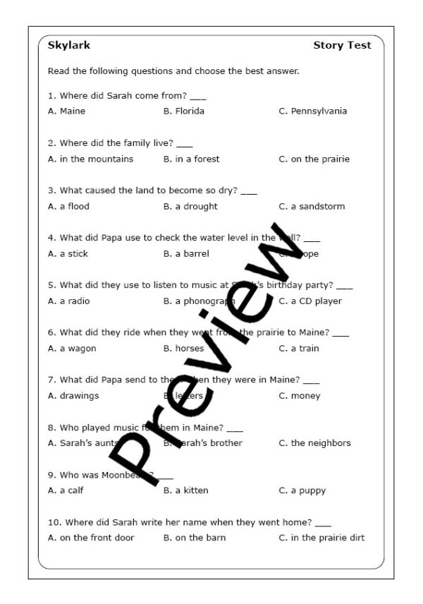 Patricia MacLachlan "Skylark" worksheets | Made By Teachers