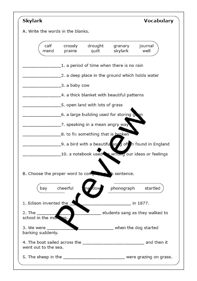 Patricia MacLachlan "Skylark" worksheets | Made By Teachers