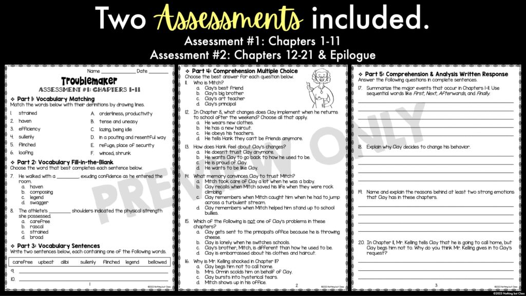 Troublemaker Novel Study Unit | Made By Teachers