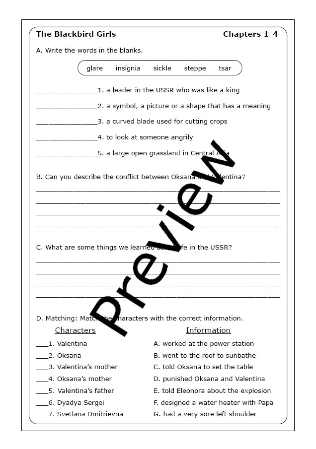 Anne Blankman "The Blackbird Girls" worksheets | Made By Teachers