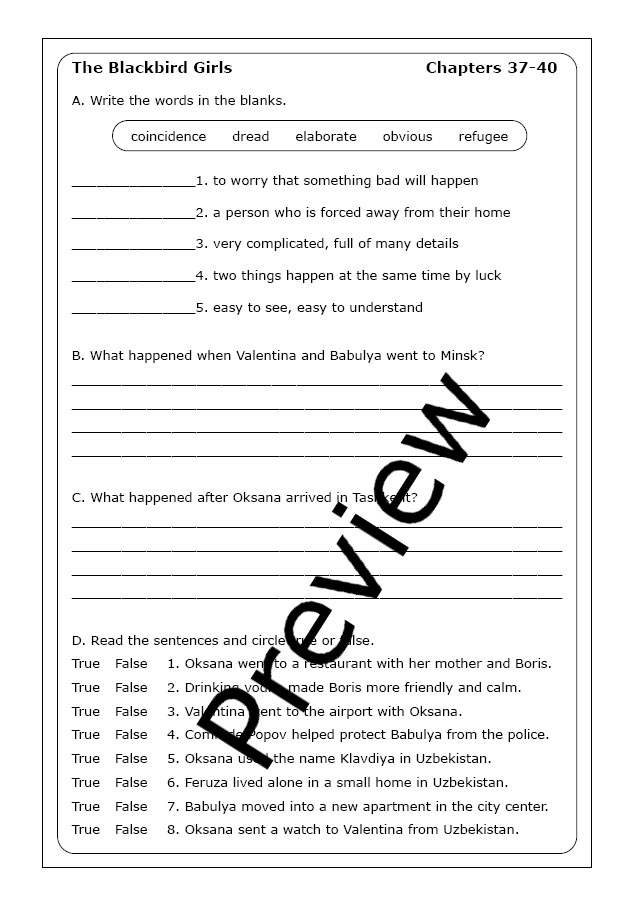 Anne Blankman "The Blackbird Girls" worksheets | Made By Teachers