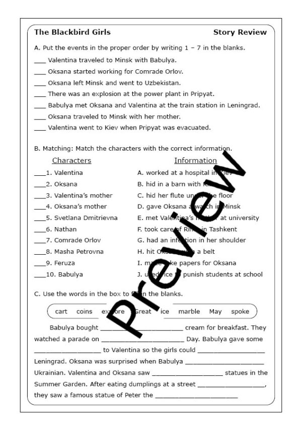 Anne Blankman "The Blackbird Girls" worksheets | Made By Teachers