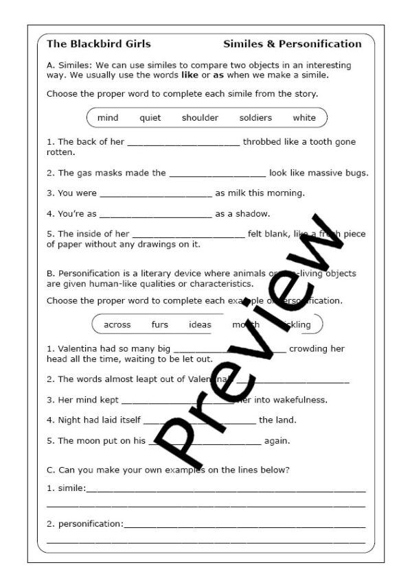 Anne Blankman "The Blackbird Girls" worksheets | Made By Teachers