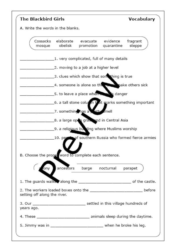Anne Blankman "The Blackbird Girls" worksheets | Made By Teachers