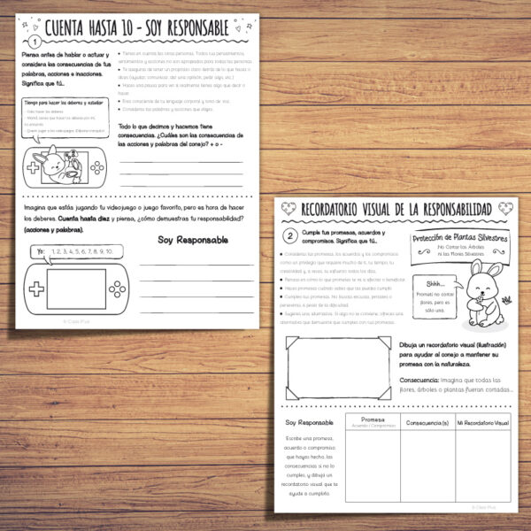 Responsabilidad | Tema el Conejo | Made By Teachers
