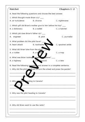 Gary Paulsen "Hatchet" worksheets | Made By Teachers