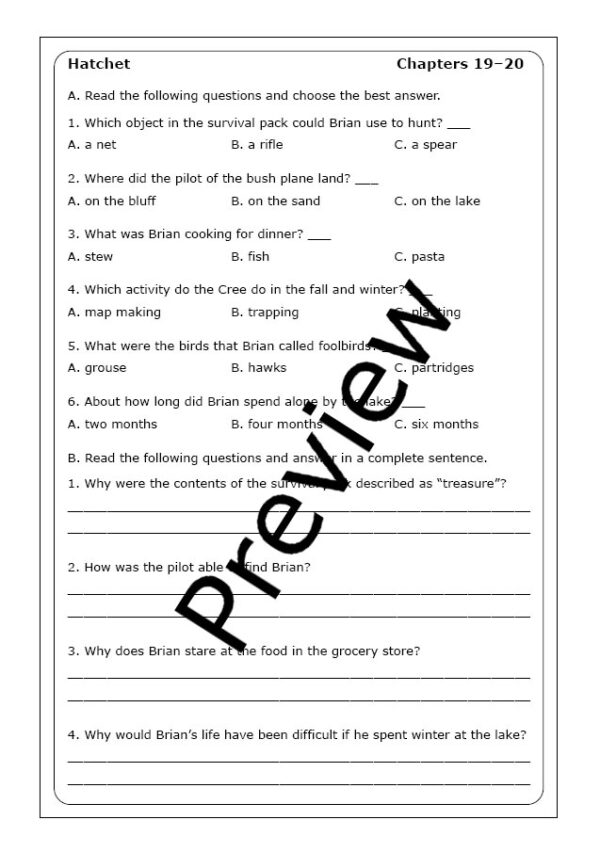 Gary Paulsen "Hatchet" worksheets - Made By Teachers