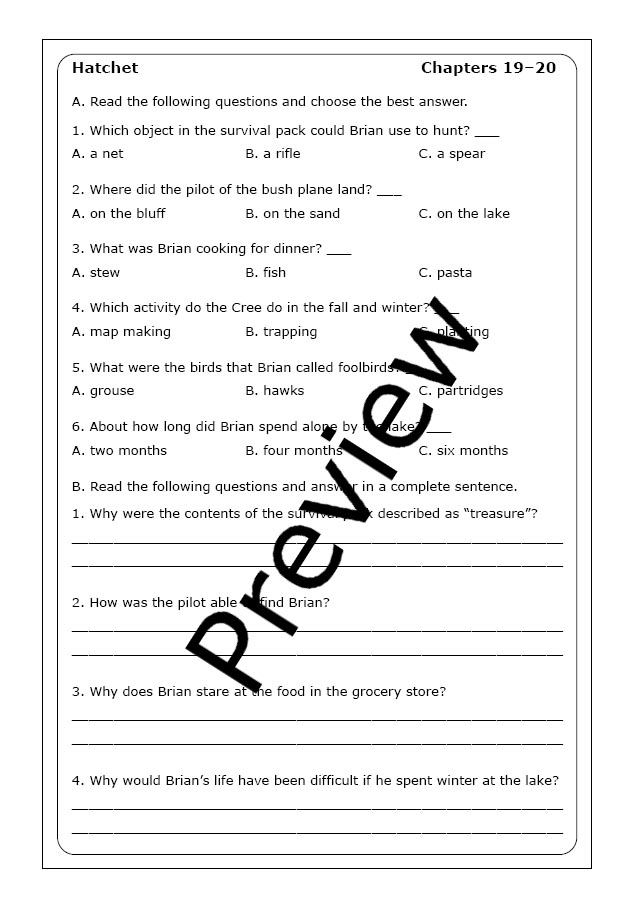 Gary Paulsen "Hatchet" worksheets | Made By Teachers