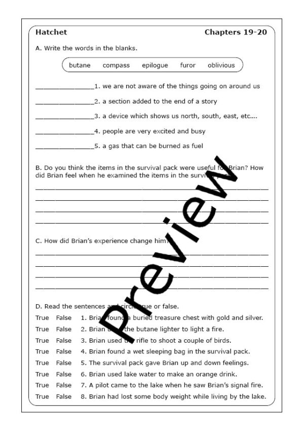 Gary Paulsen "Hatchet" worksheets | Made By Teachers