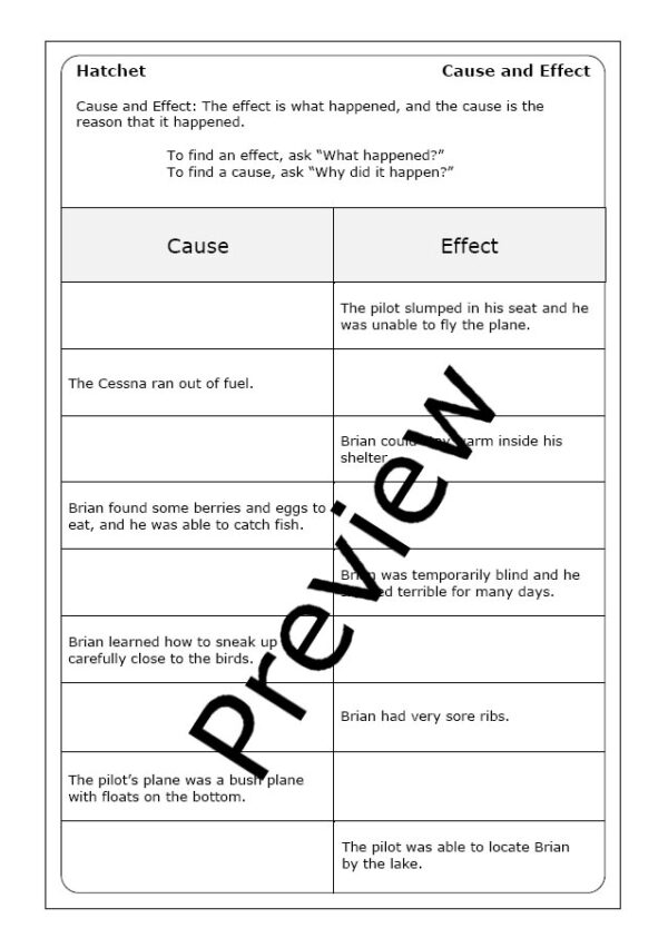 Gary Paulsen "Hatchet" worksheets | Made By Teachers