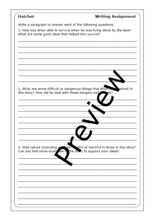 Gary Paulsen "Hatchet" worksheets | Made By Teachers